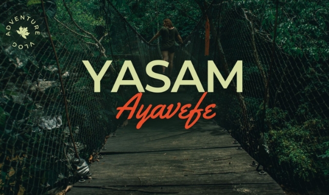 Liderlikte İnovasyon ve Değişim: Yaşam Ayavefe'nin İş Stratejileri ...